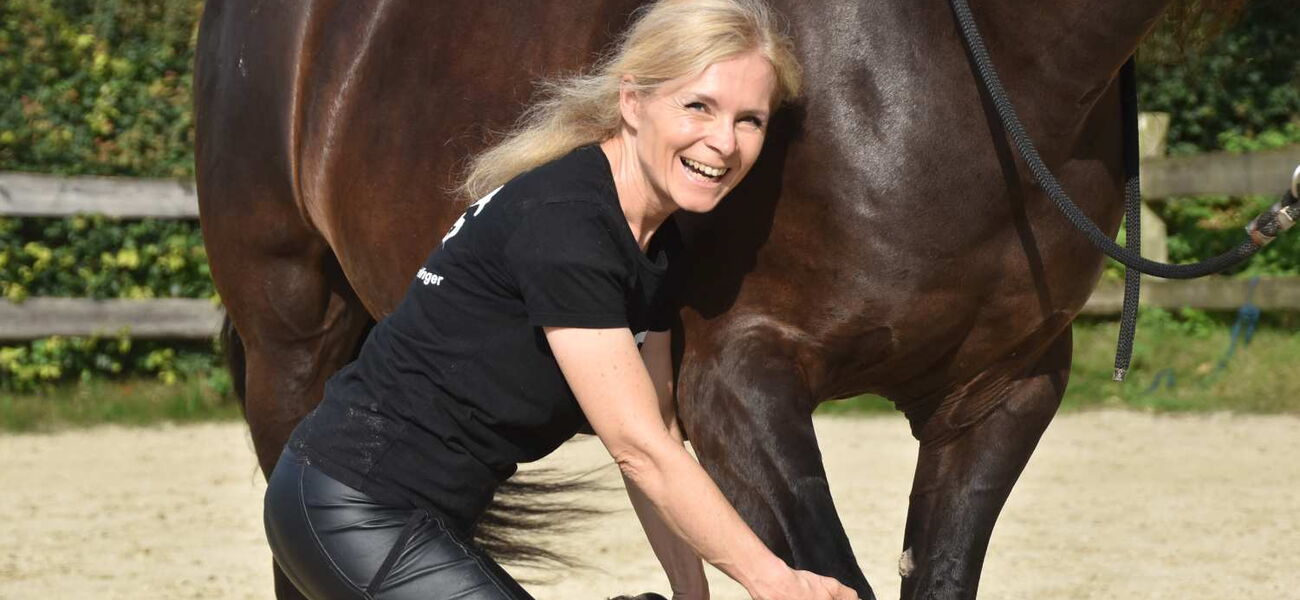 ECVM beim Pferd: Equine Complex Vertebrae Malformation verstehen und managen - myhorse-experts.de